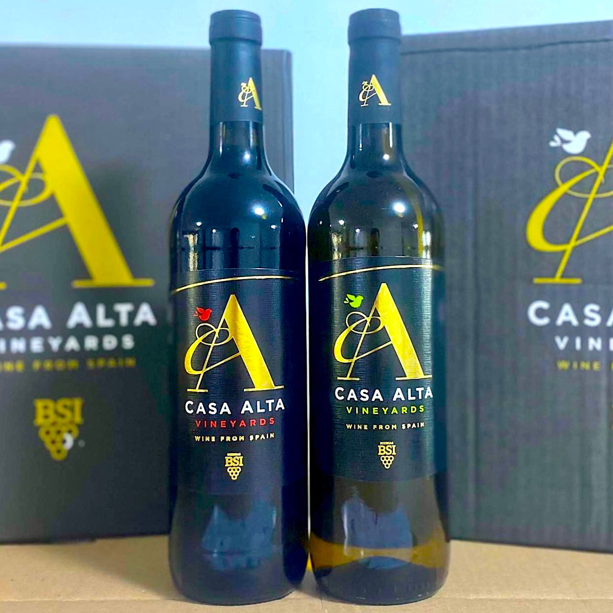 Discover Spanish Casa Alta Wines in Your March Subscription Case – Brad ...