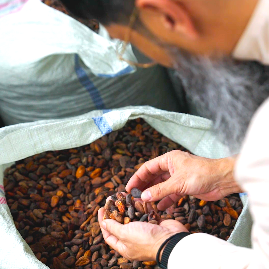 Free Gift This March - Vanilla Concierge Bourbon Planifolia Noir Bean ...