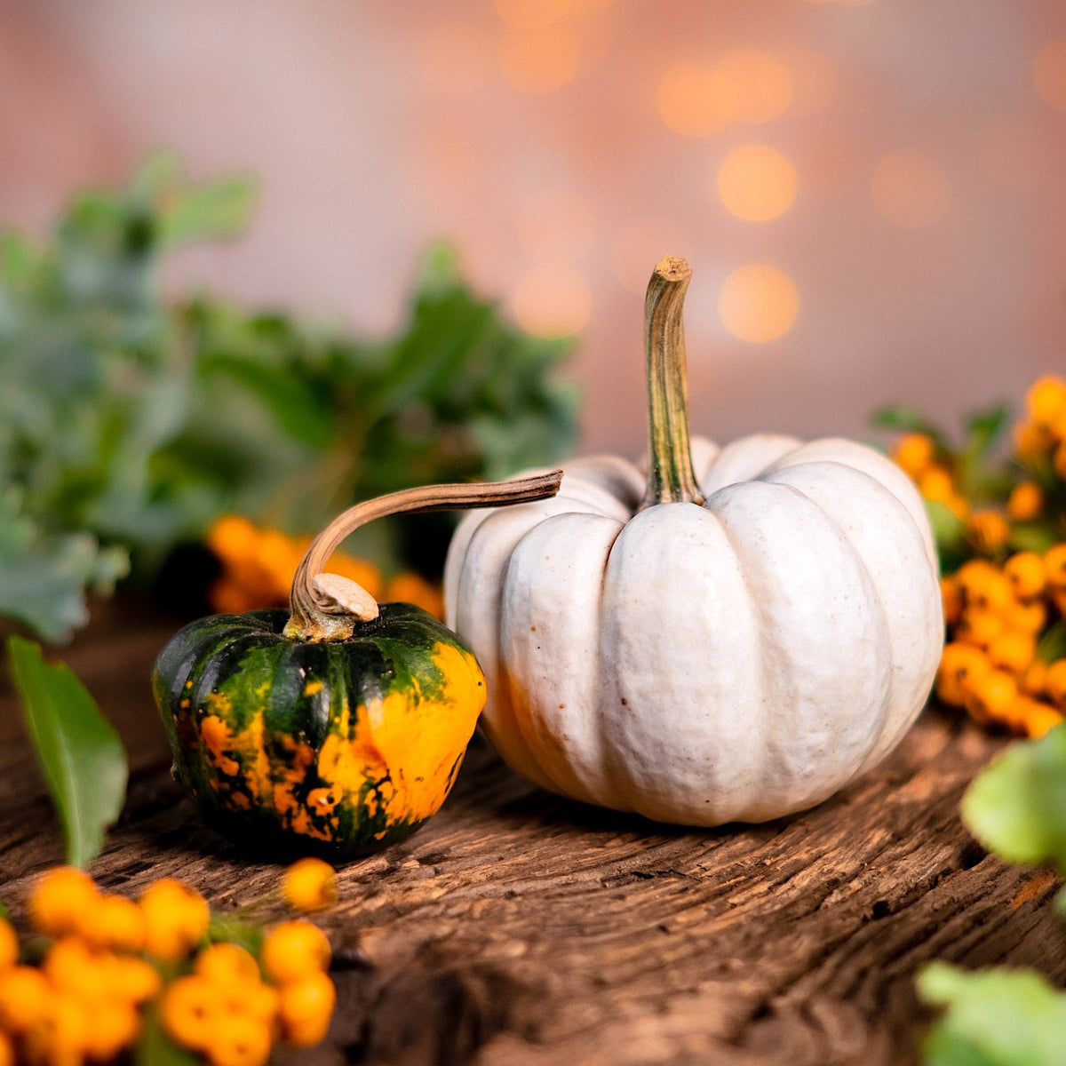 Savour the Season - Autumn Wine and Food Pairing Ideas – Brad's Wine